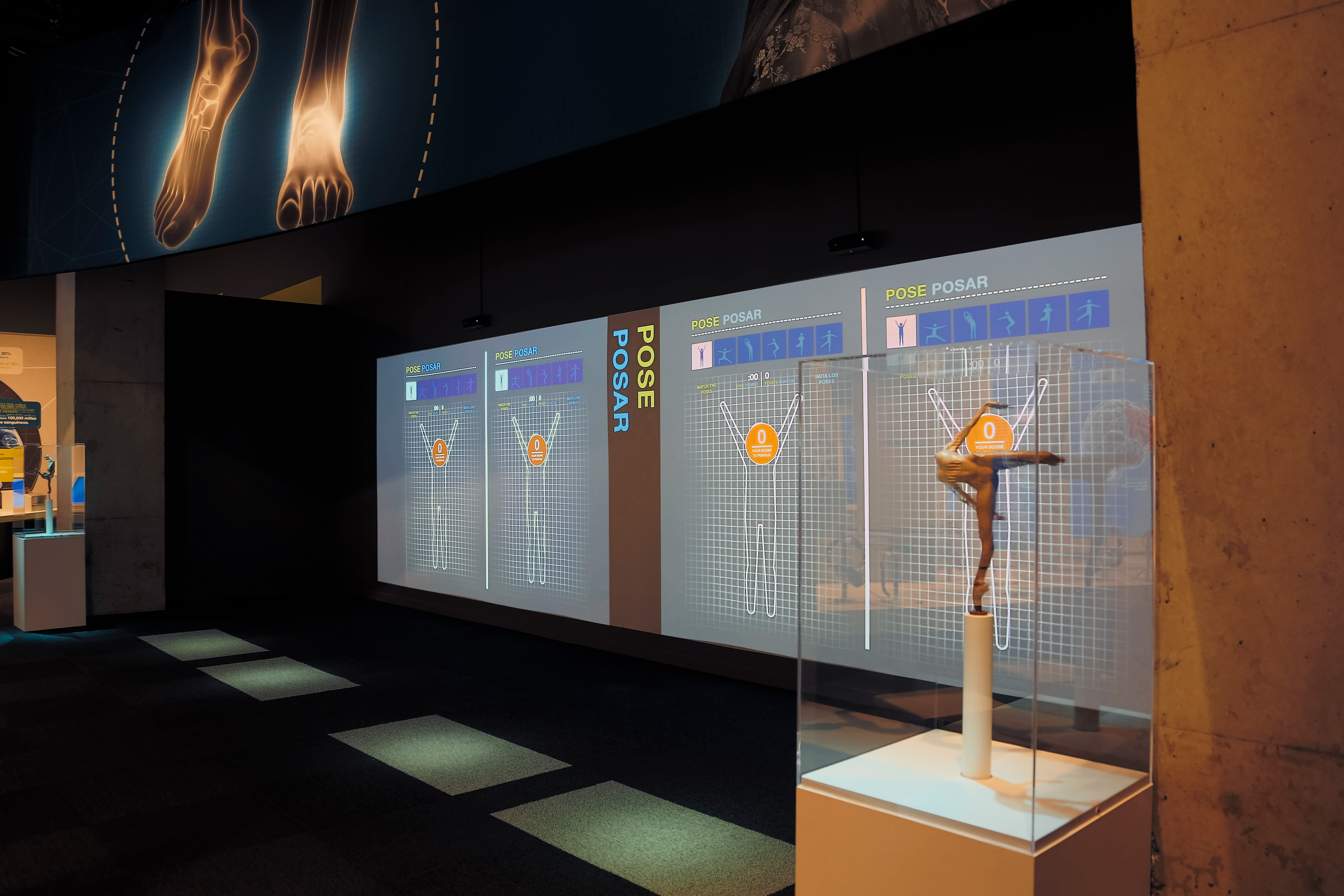 Human Body Exhibits Dallas