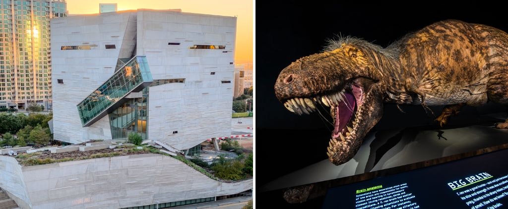 Tickets - Perot Museum