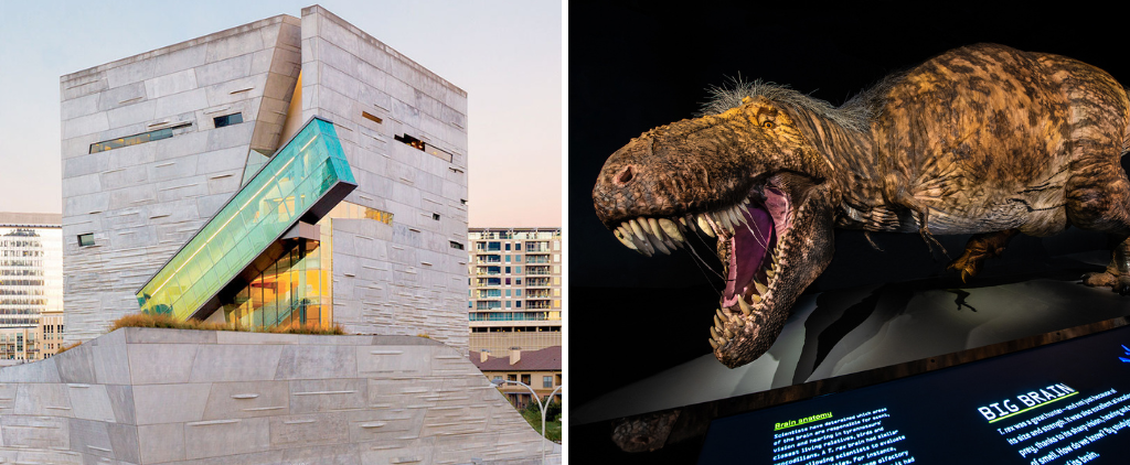 Tickets - Perot Museum