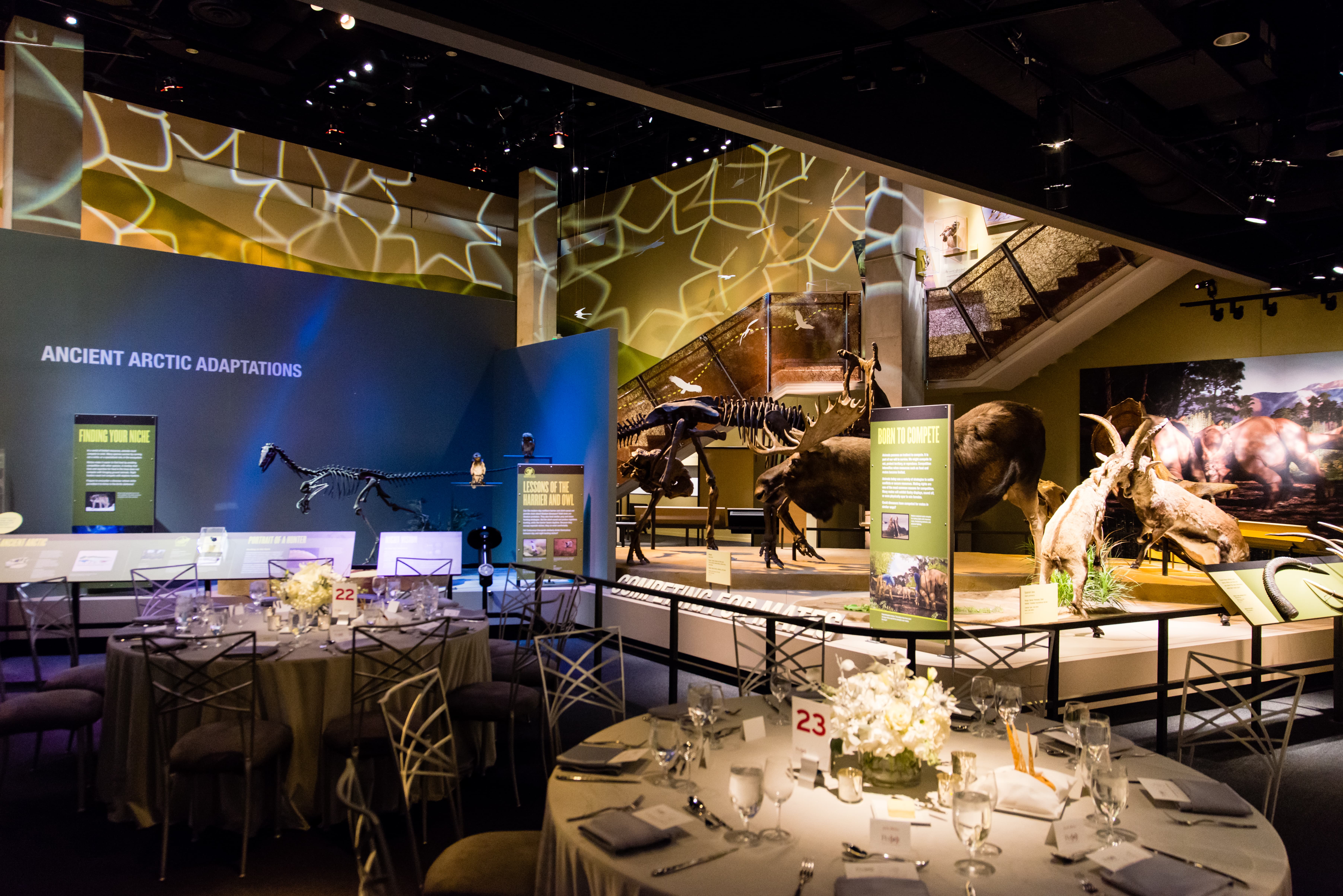 Events Down to a Science