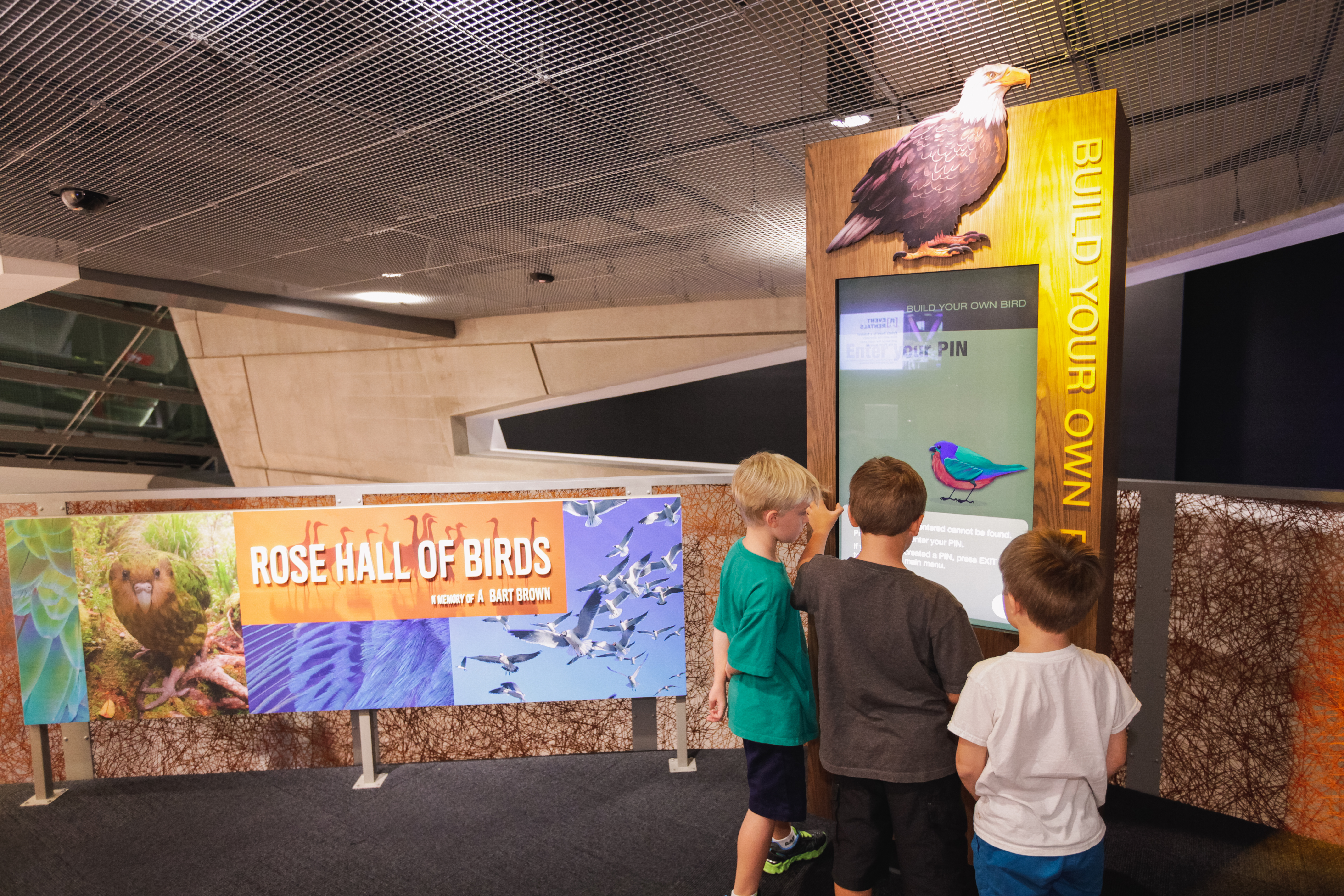 Rose Hall of Birds | Perot Museum