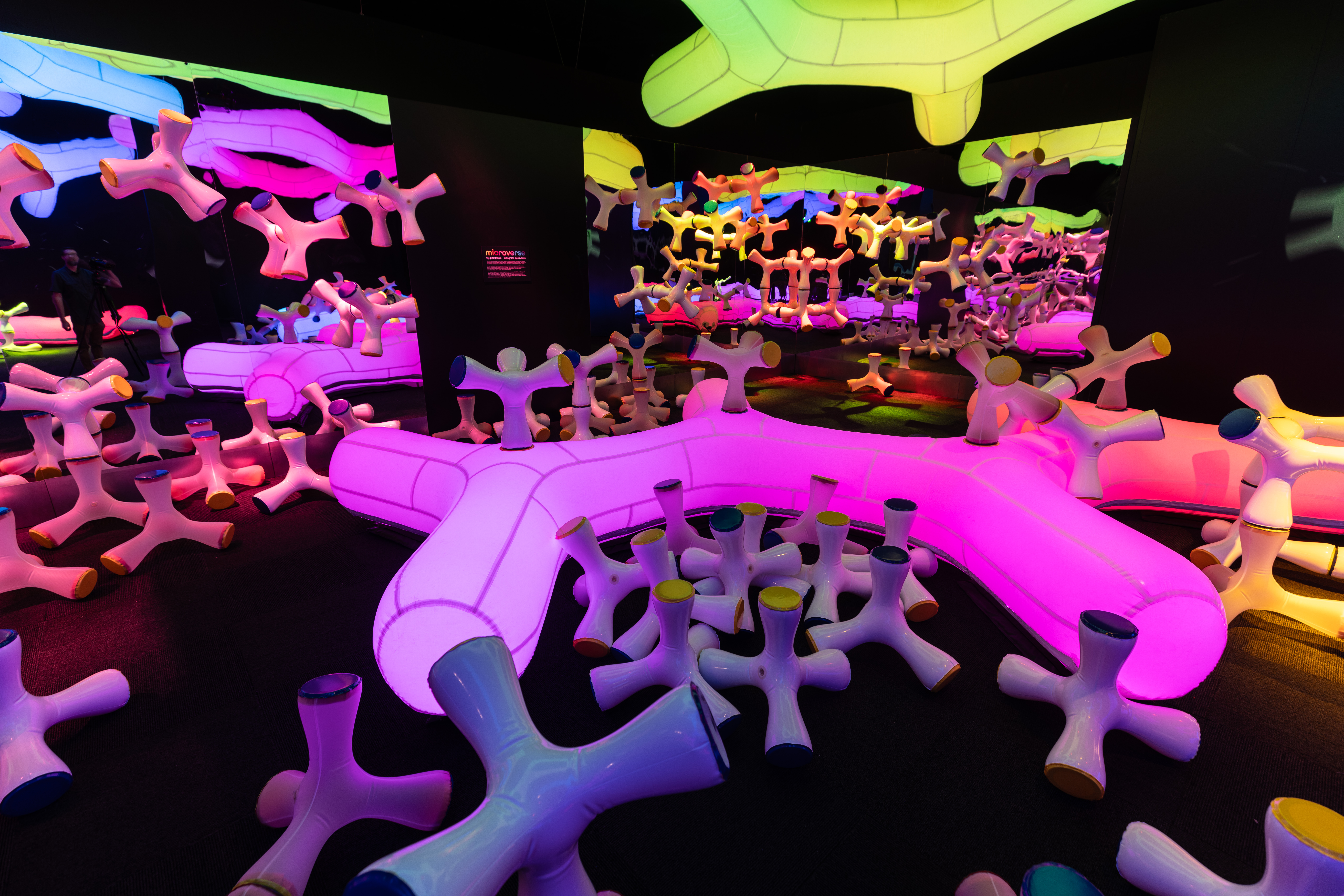 Start Your Adventure - Perot Museum of Nature and Science