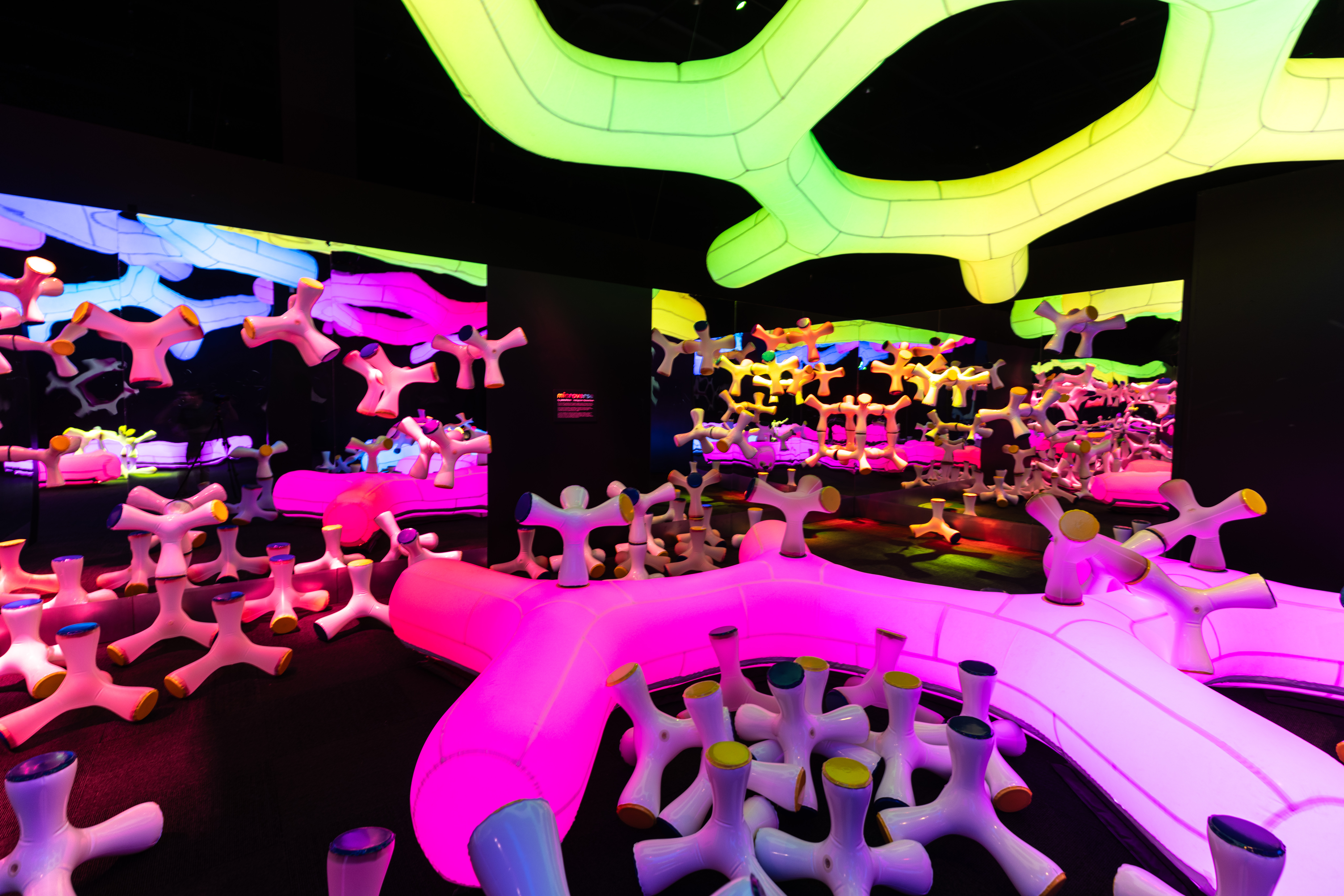 Start Your Adventure - Perot Museum of Nature and Science