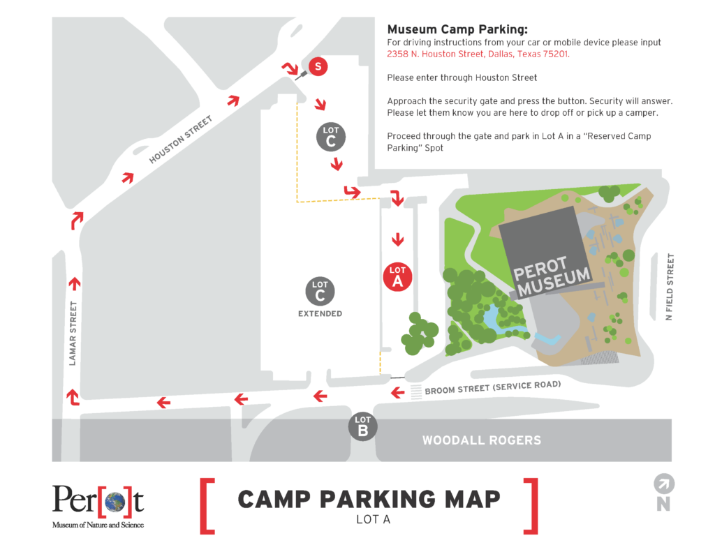 Summer Discovery Camp - Perot Museum