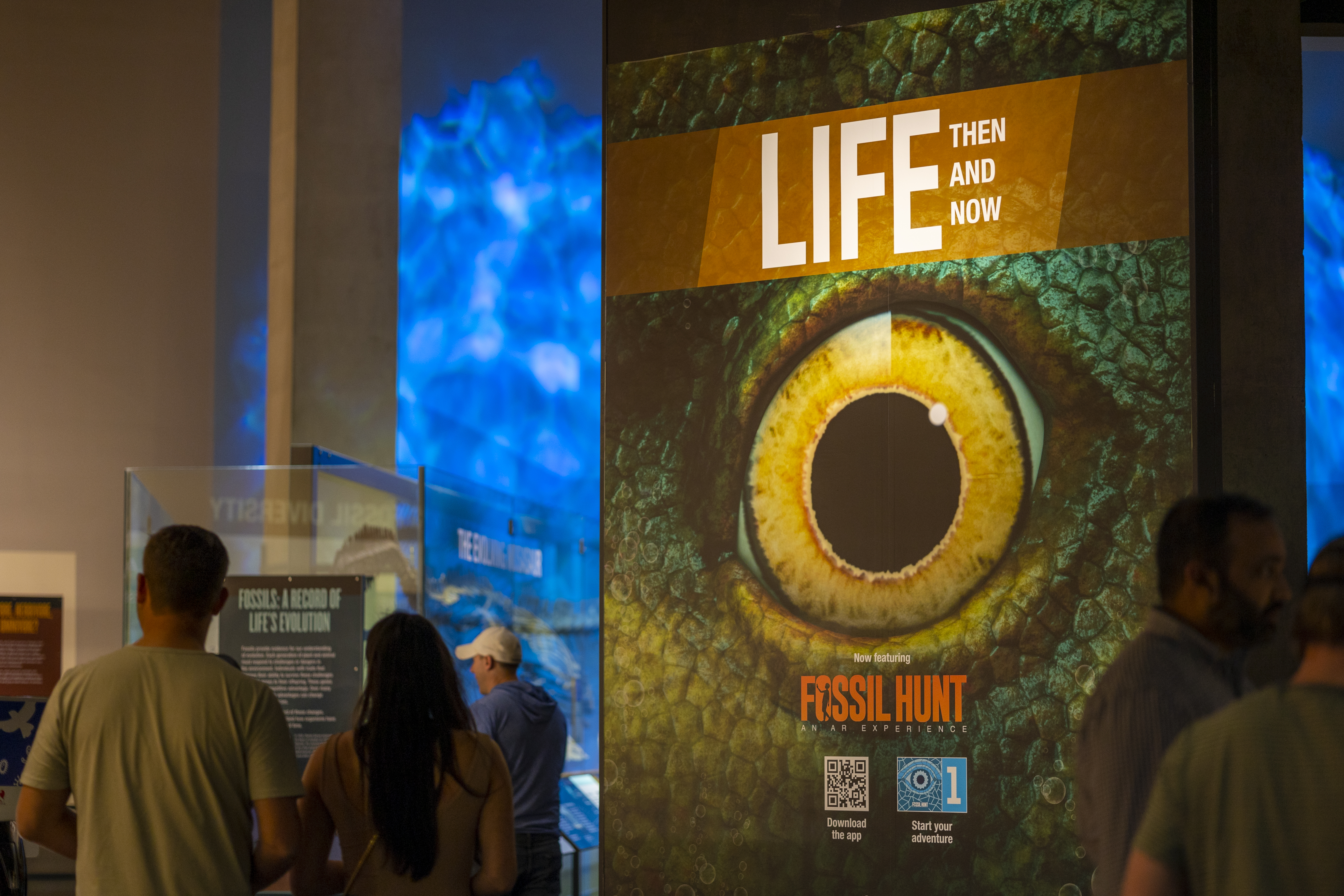 Dinosaur Fossils in Dallas - Perot Museum