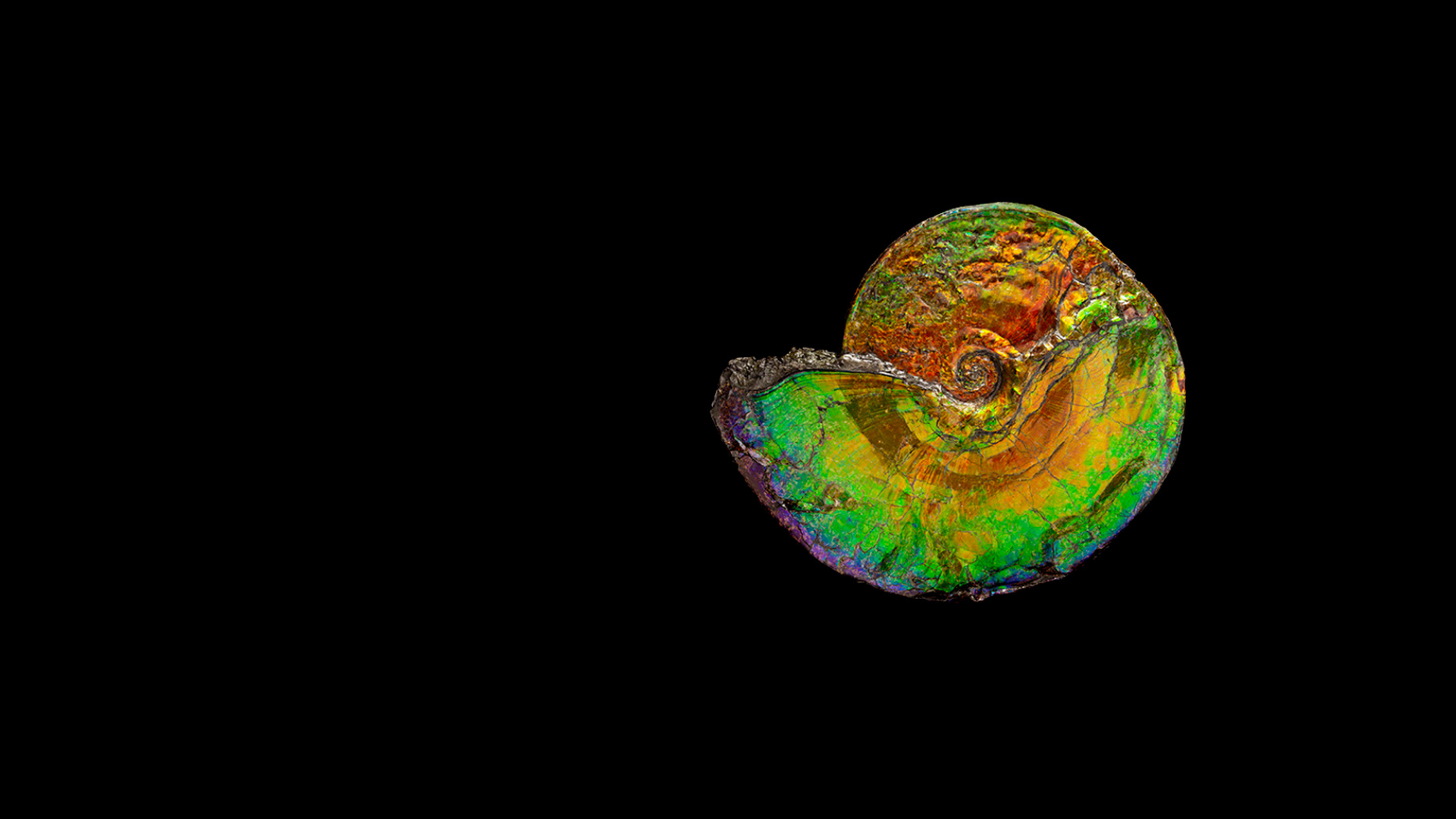 Gems & Minerals Museum Dallas